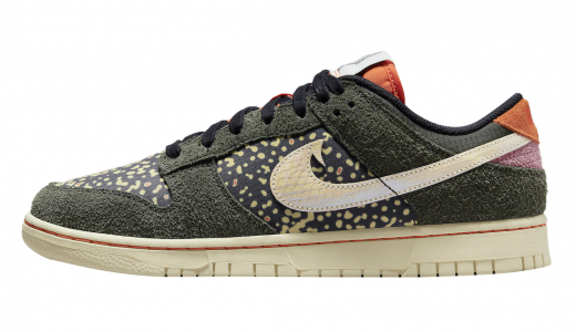Nike Dunk Low Rainbow Trout FN7523-300