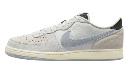 Nike Terminator Low Medium Ash FV0396-001